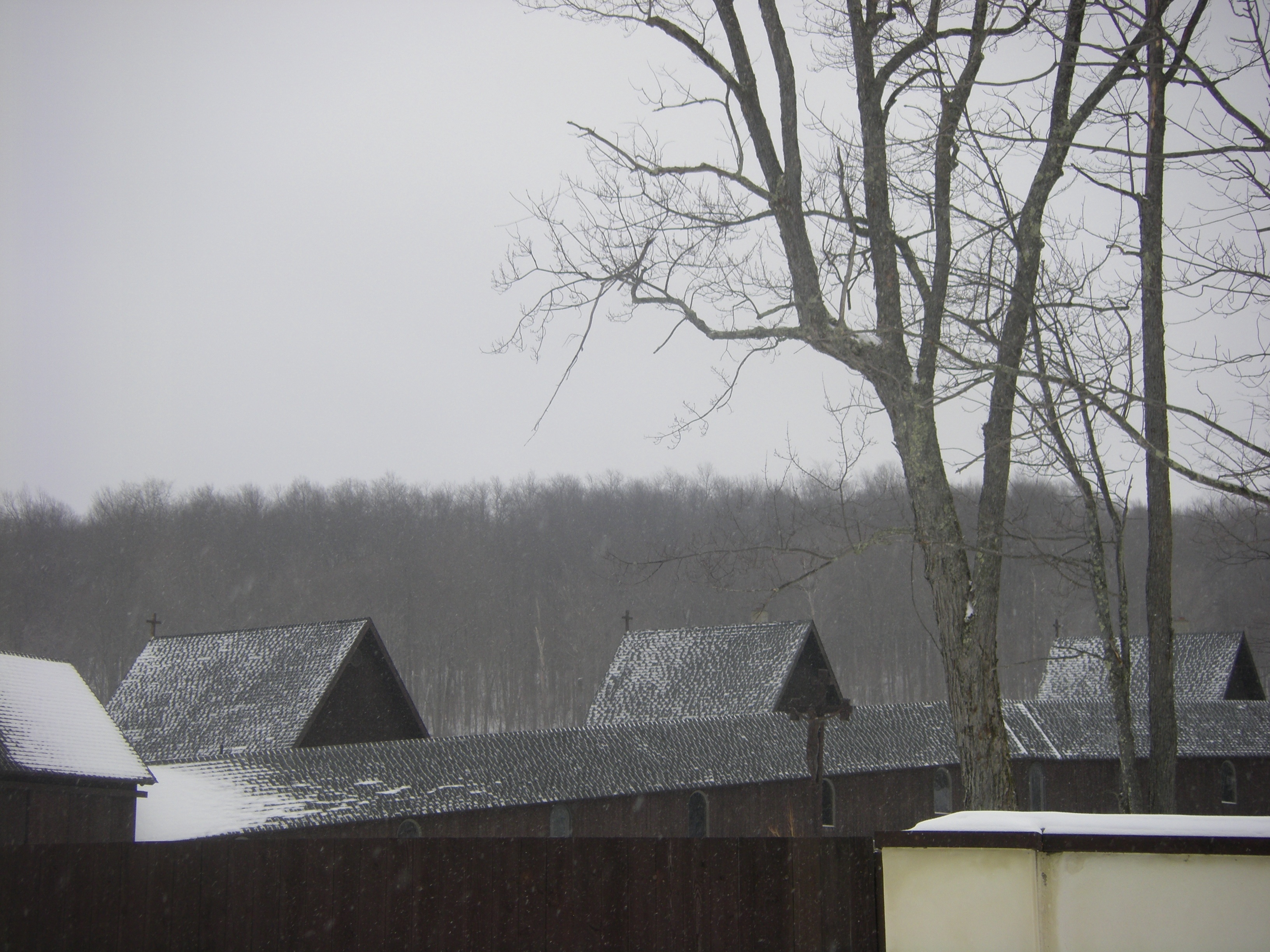 Monastic Family of Bethlehem – Communio